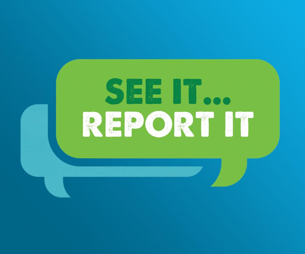 See it Report it CVCH The Pioneer Group Castle Vale | Attachment | The ...